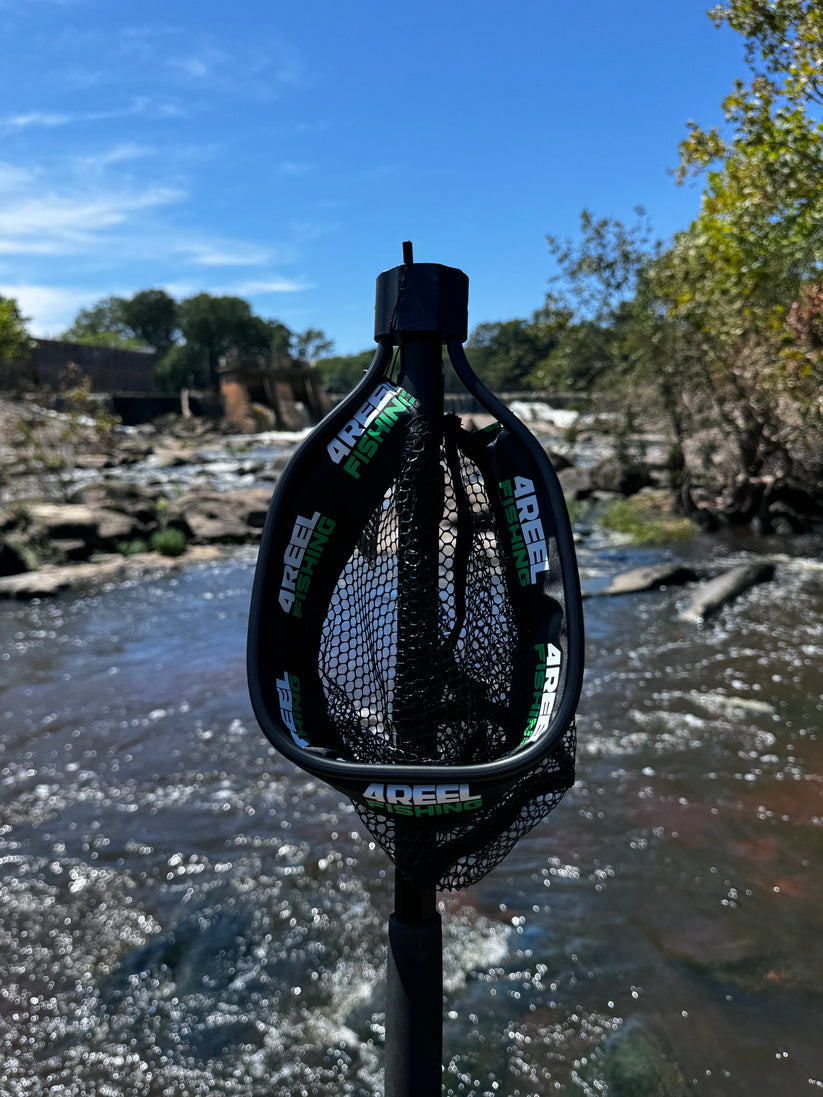 4REEL Bait Net - Aluminum & Collapsible – 4REEL Fishing